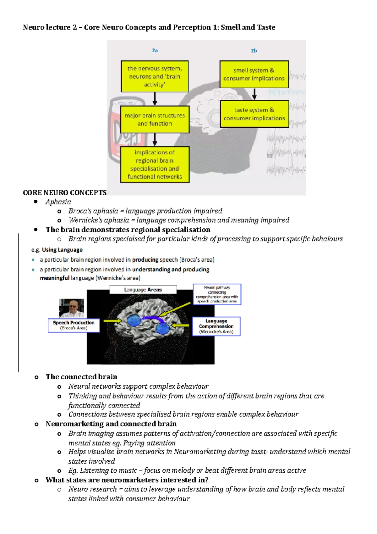 Neuro lecture 2 – Core Neuro Concepts and Perception 1 - Neuro lecture ...