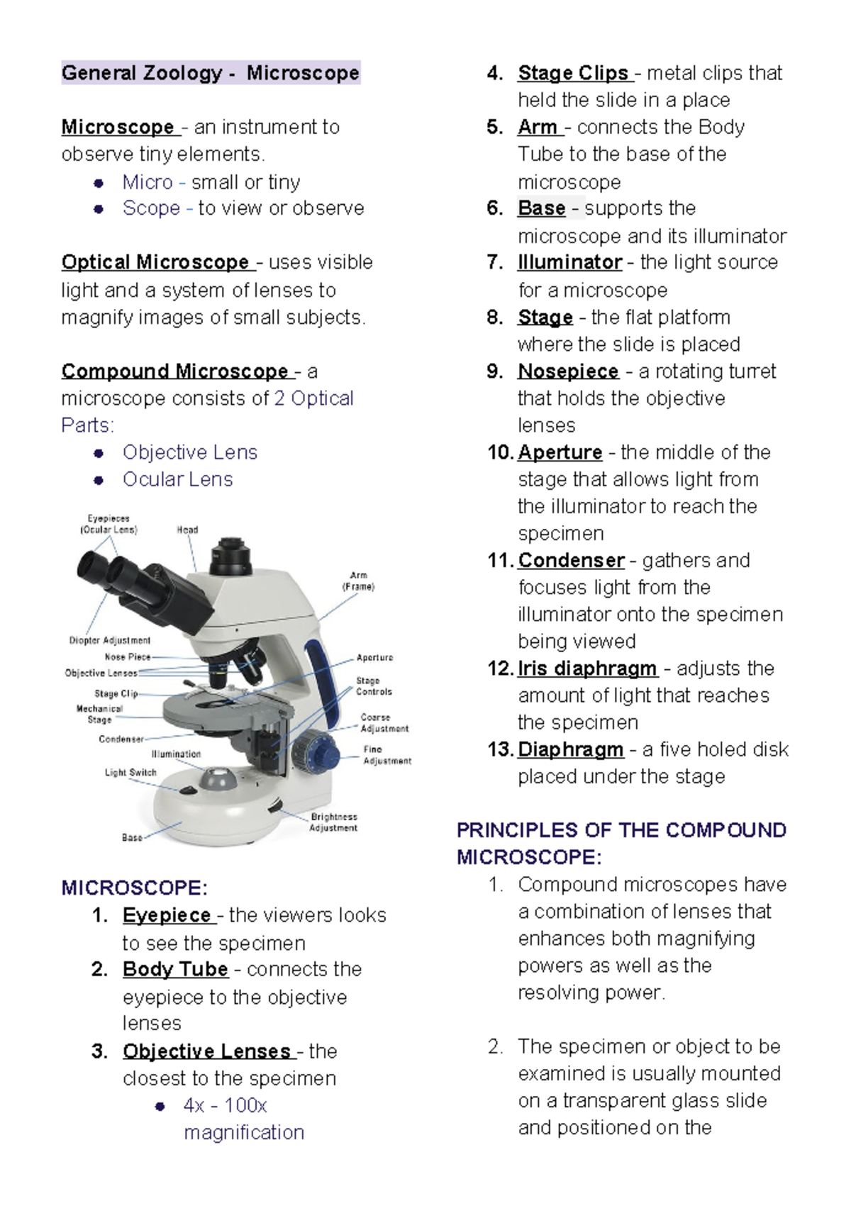 General Zoology - Microscope - General Zoology - Microscope Microscope ...