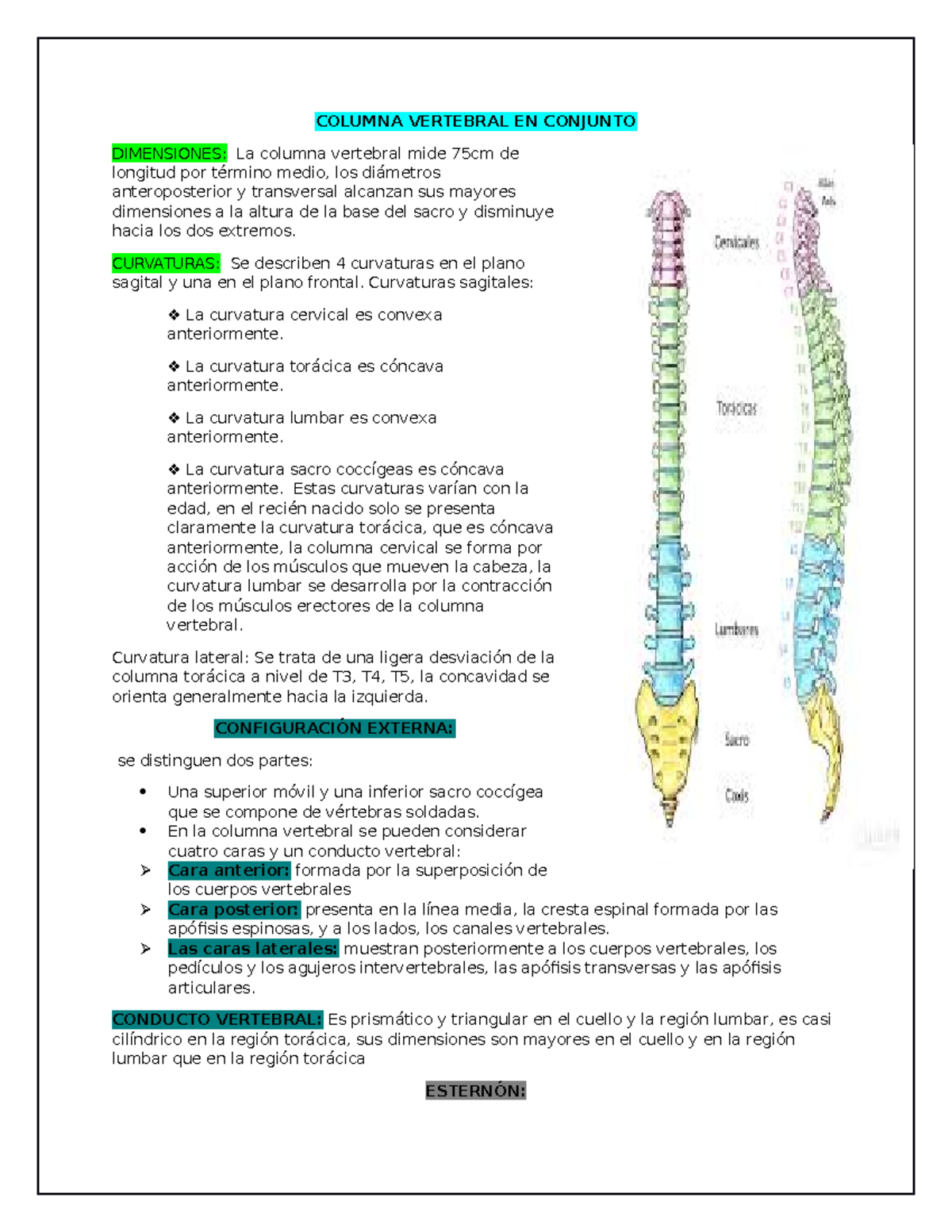 2 de diciembre - Resumen - COLUMNA VERTEBRAL EN CONJUNTO DIMENSIONES ...