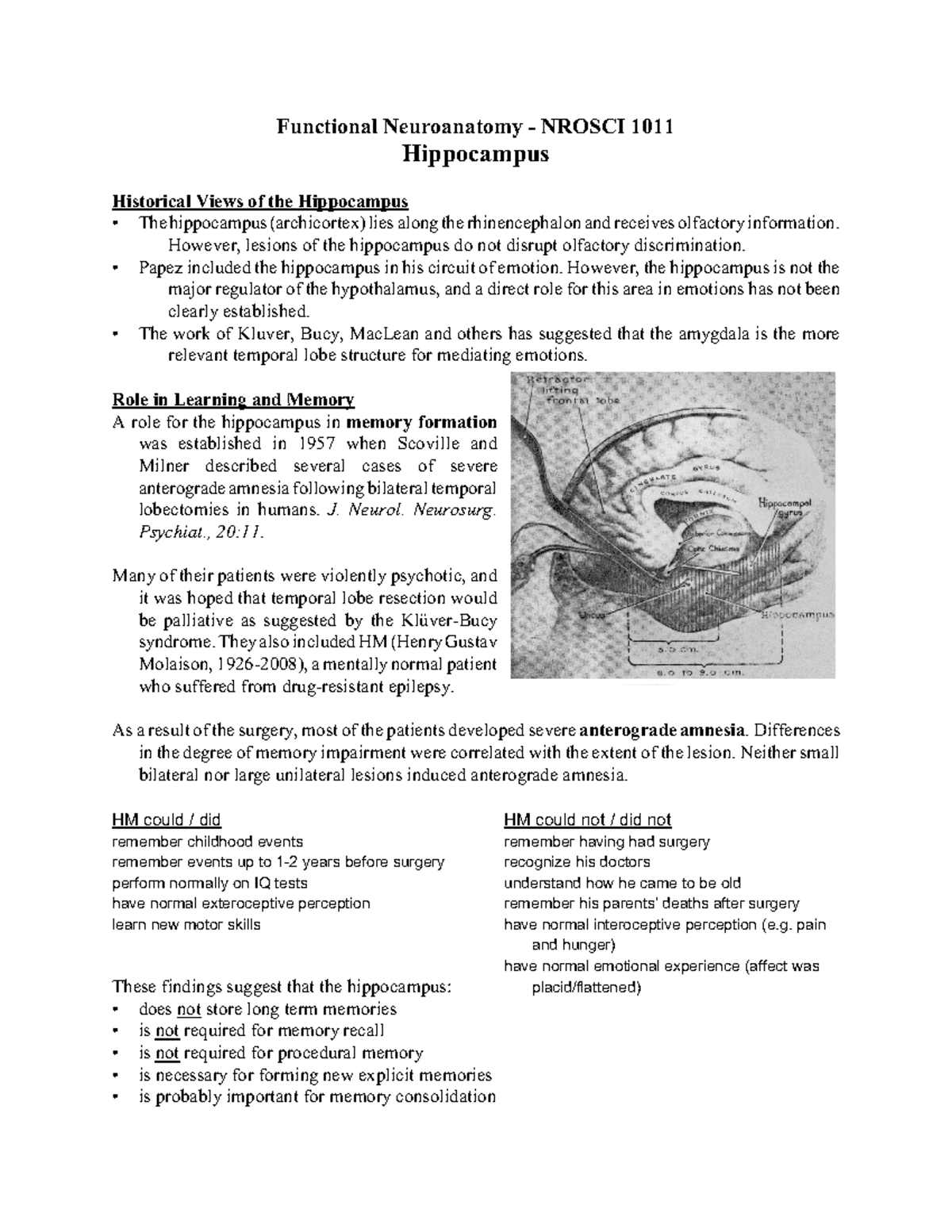 Hippocampus - Dr. Sesack - Functional Neuroanatomy - NROSCI 1011 ...
