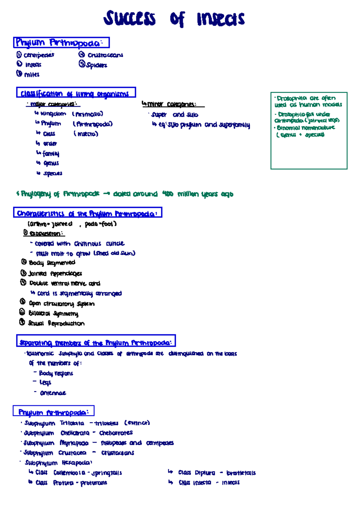 Insect Classification - success of insects Phylum Arthropoda : ① ...