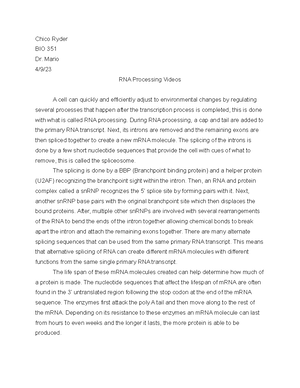 Photosynthesis Pogil - Key - BIOL 412 - Studocu