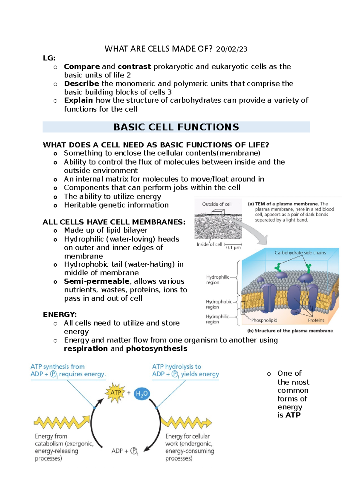 BIOL1020 WEEK 1-4 - lecture - WHAT ARE CELLS MADE OF? 20/02/ LG: o ...