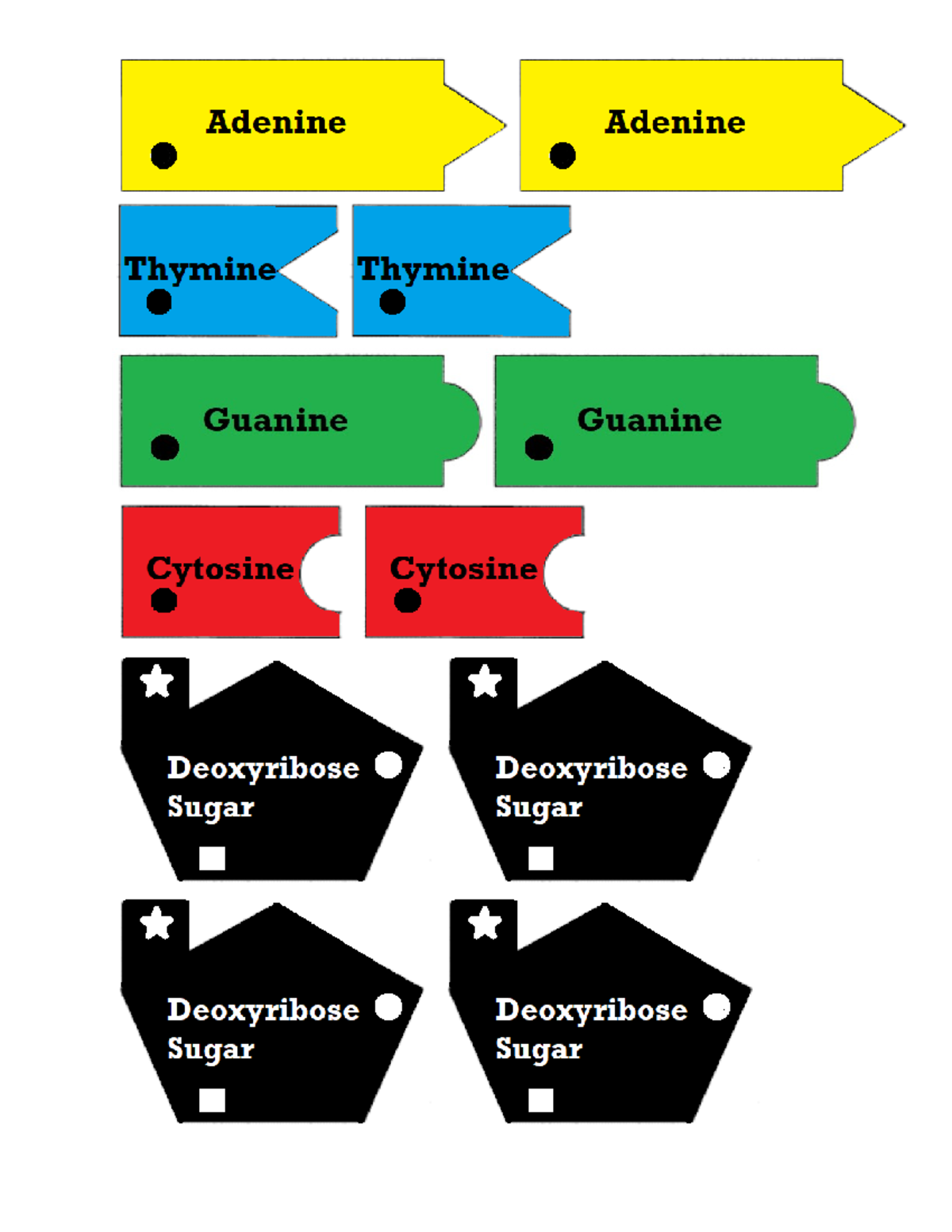 DNA Model Pattern - Bachelor of Secondary Education Social Studies I ...