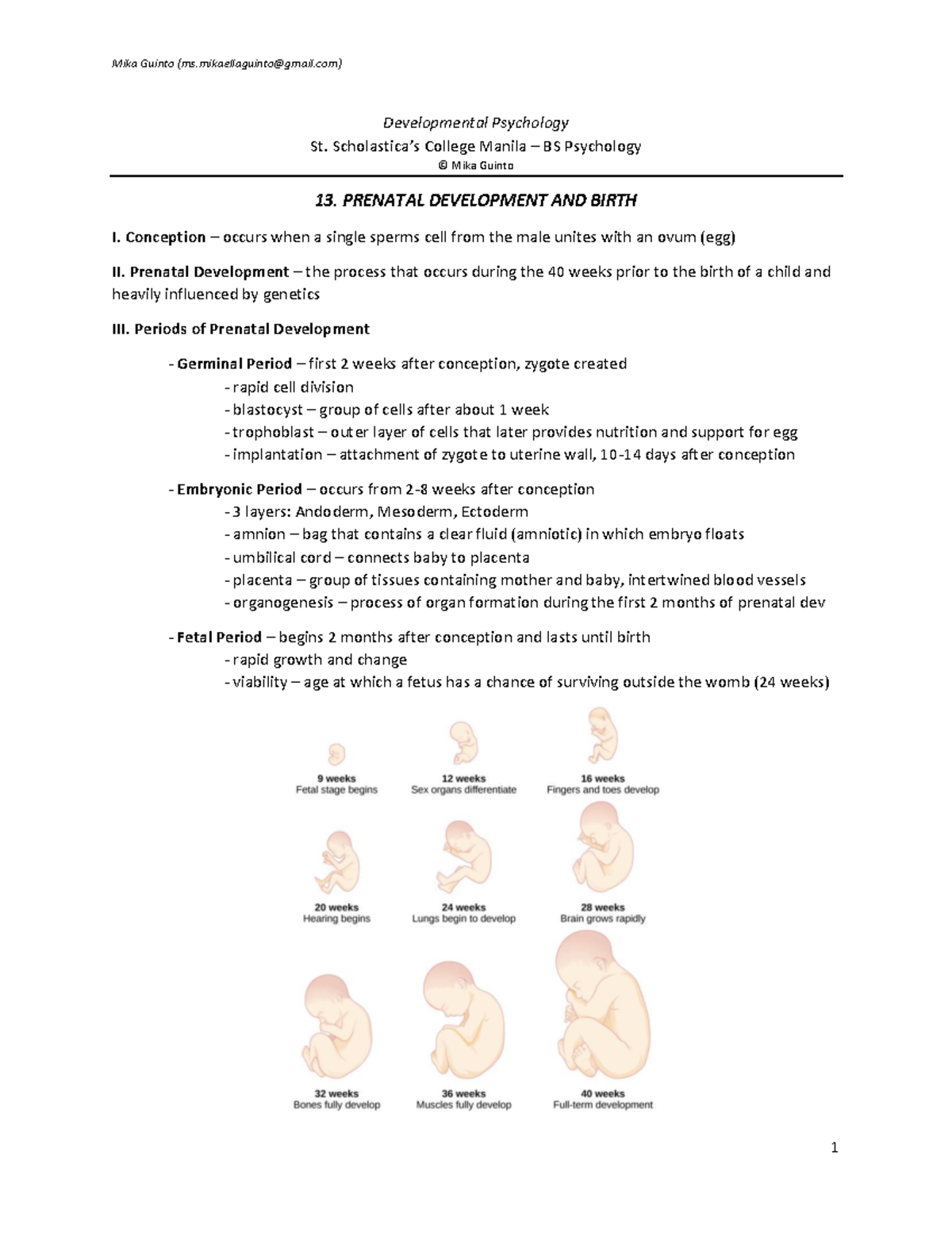 (DEV PSYCH) Prenatal Development to Birth Process - Developmental ...