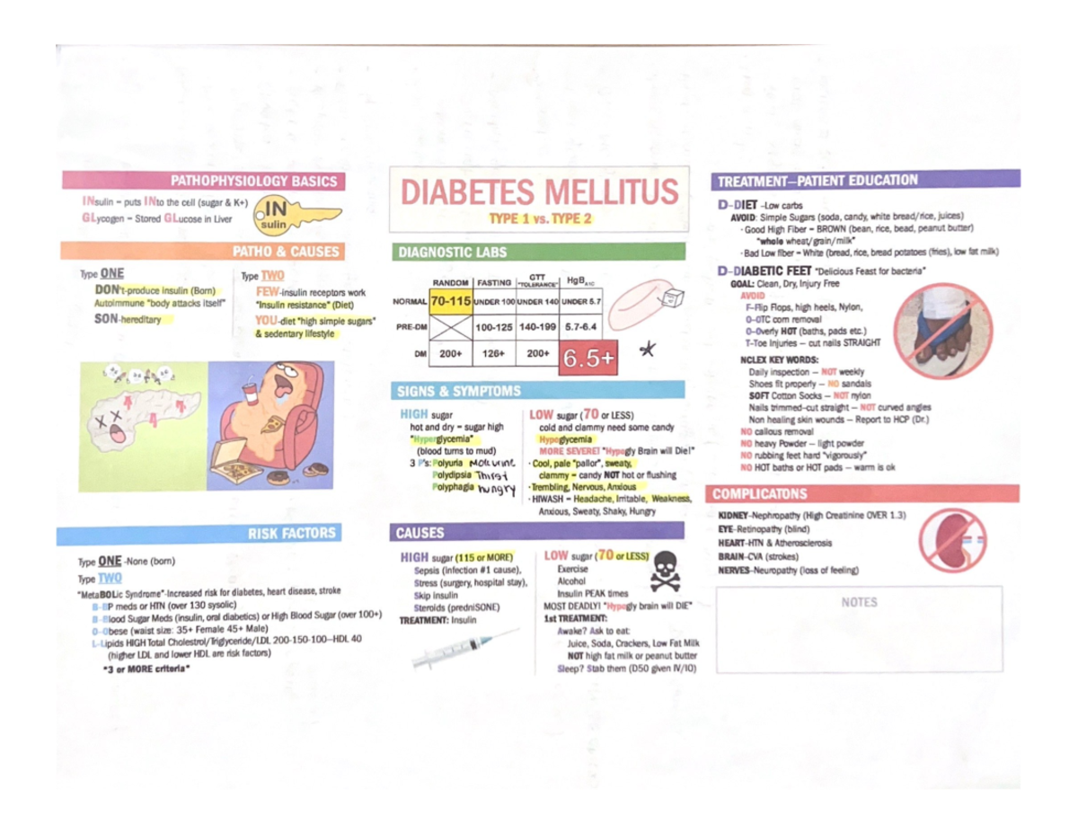 Exam 2 Notes Part 1 - PATHOPHYSIOLOGY BASICS INsulin puts INto the cell ...