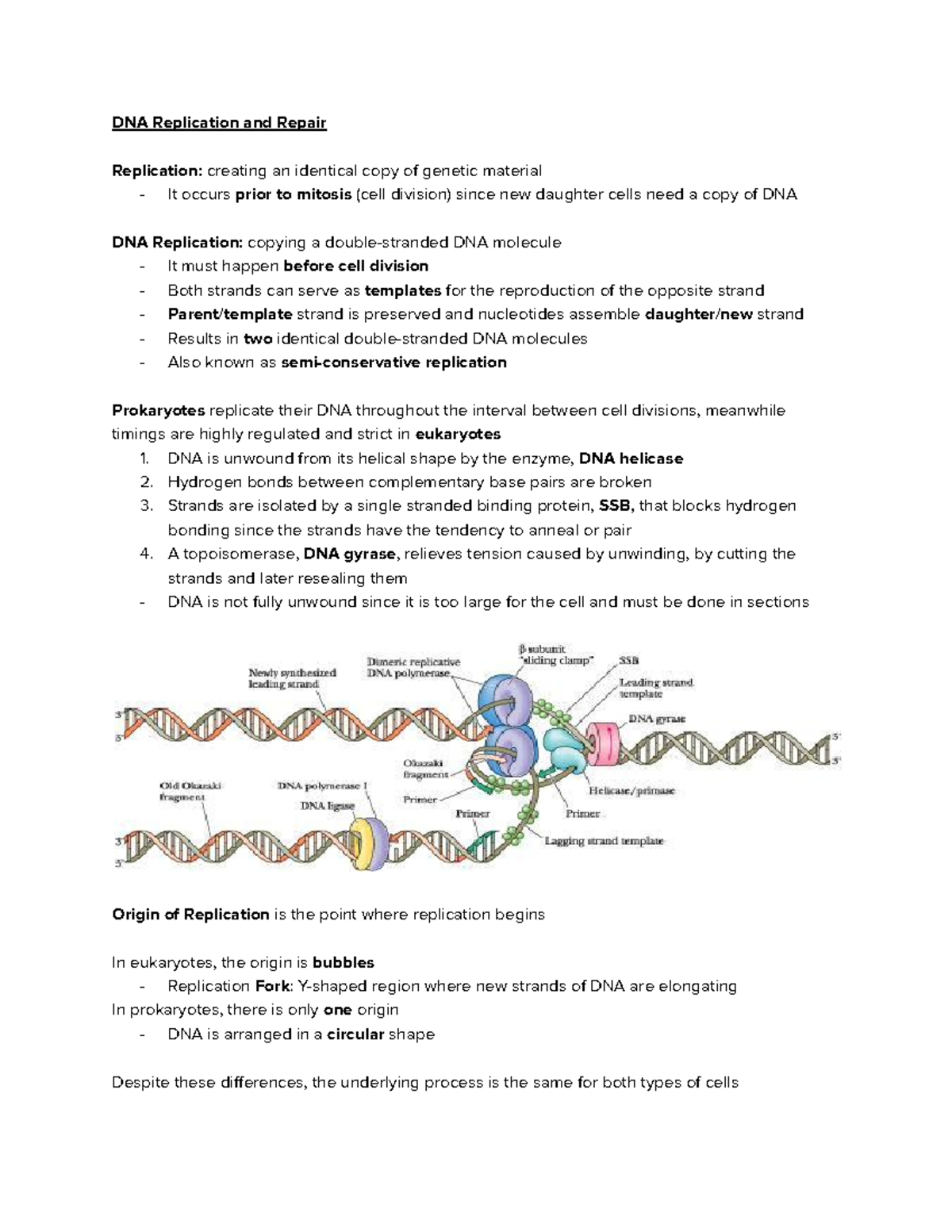 DNA Replication and Repair - DNA Replication and Repair Replication ...