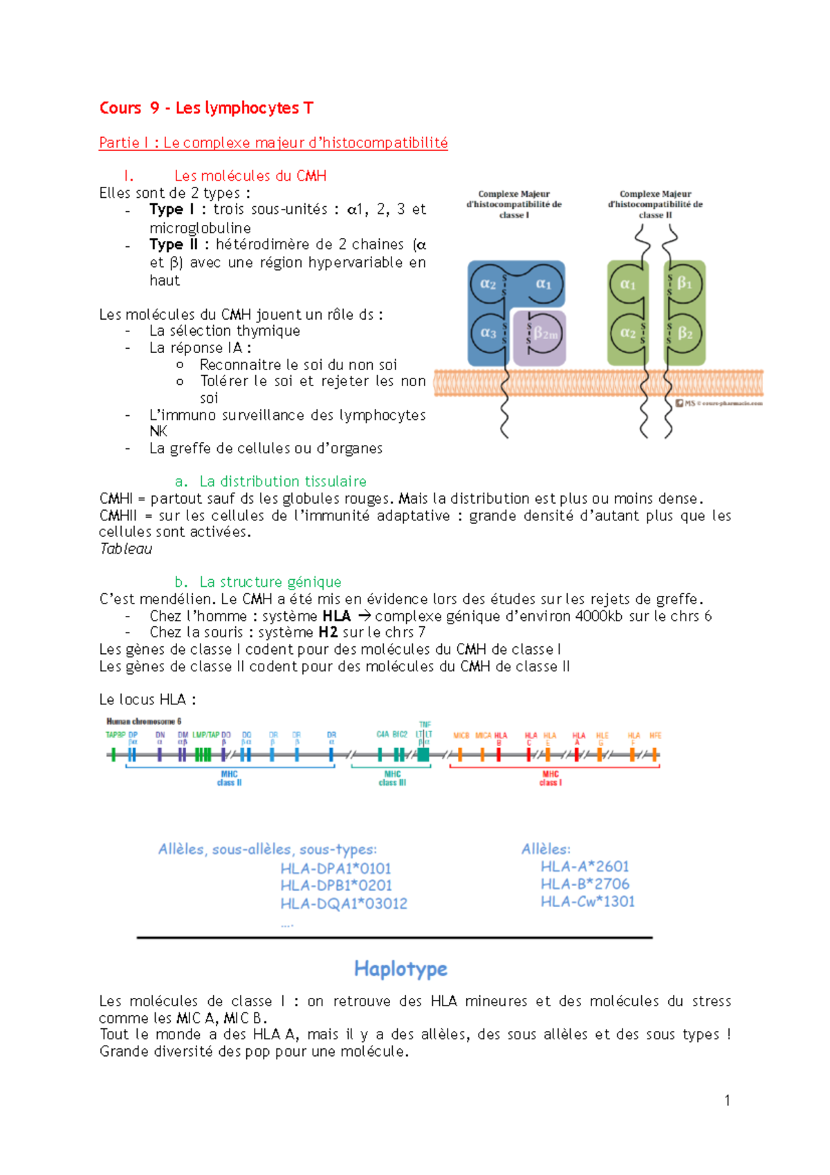 Cours 9 Le CMH les LT - Cours 9 Les lymphocytes T Partie I : Le ...