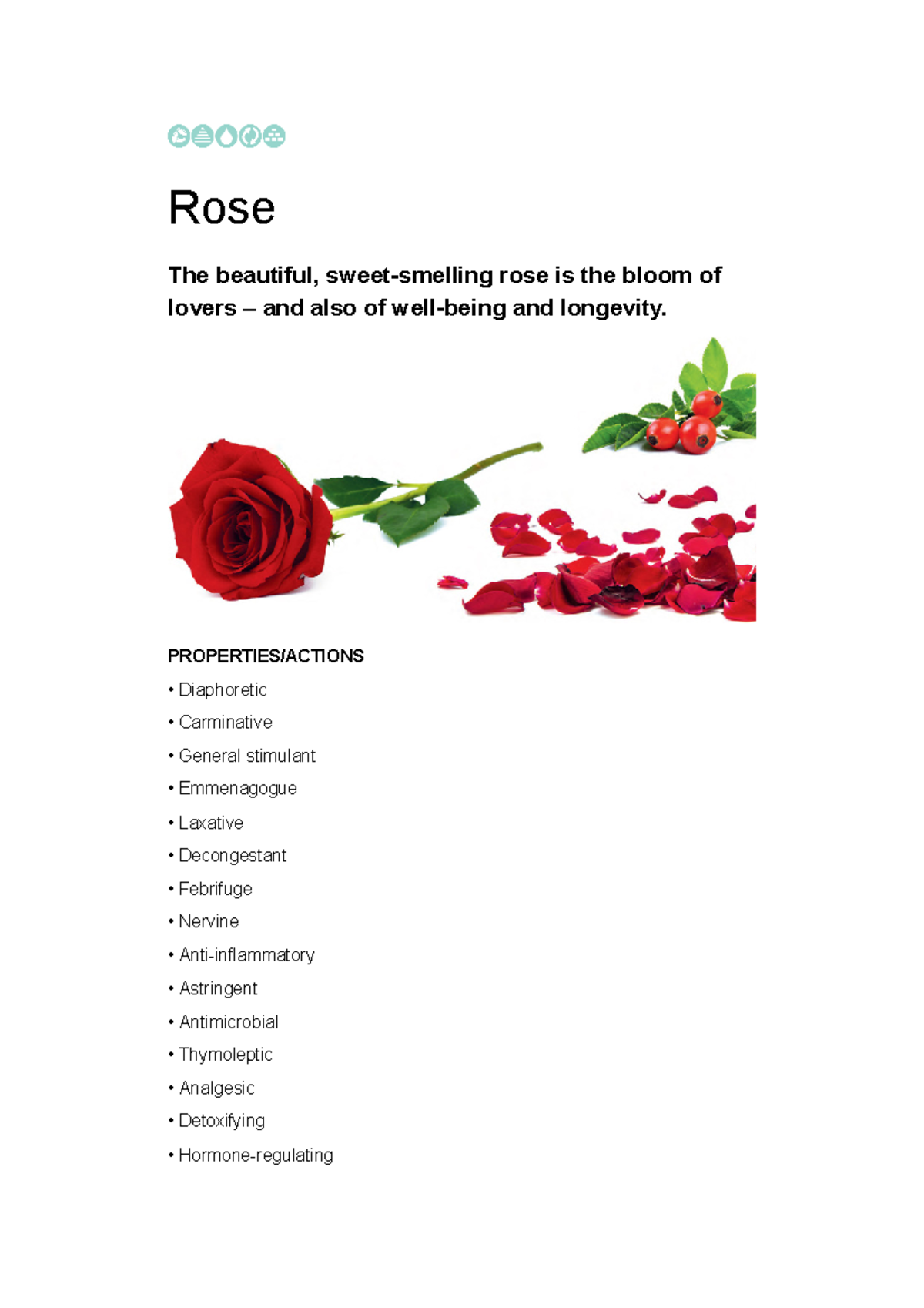 Natures Pharmacy-37 - Rose The beautiful, sweet-smelling rose is the ...