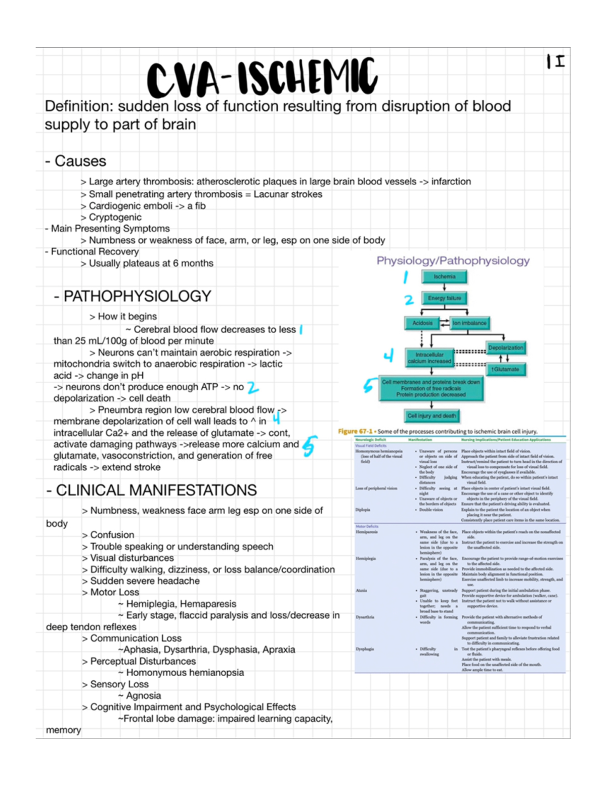 Cva ischemic - RNSG 1538 - Studocu