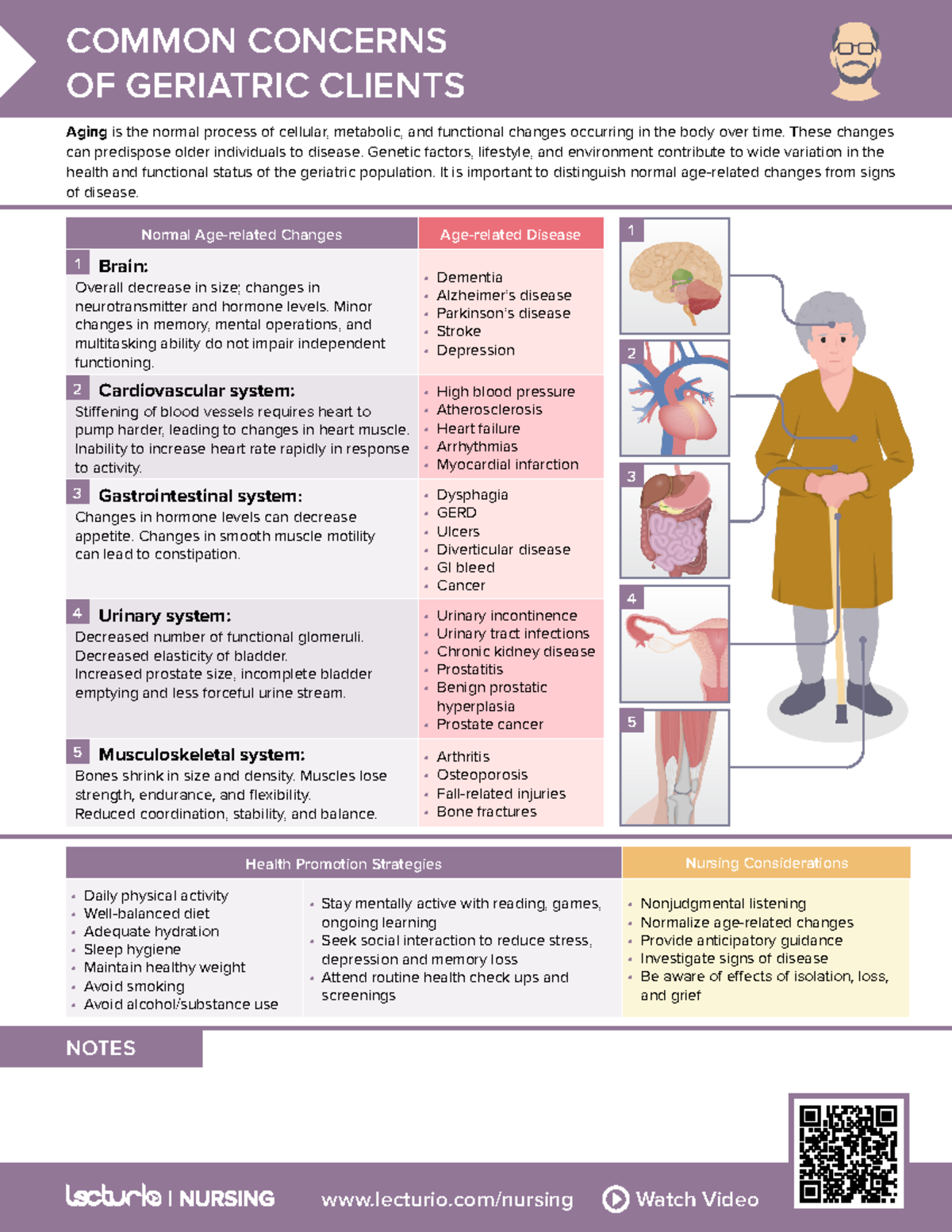 Nursing CS Common-Concerns-of-Geriatric-Clients 02 - lecturio/nursing ...