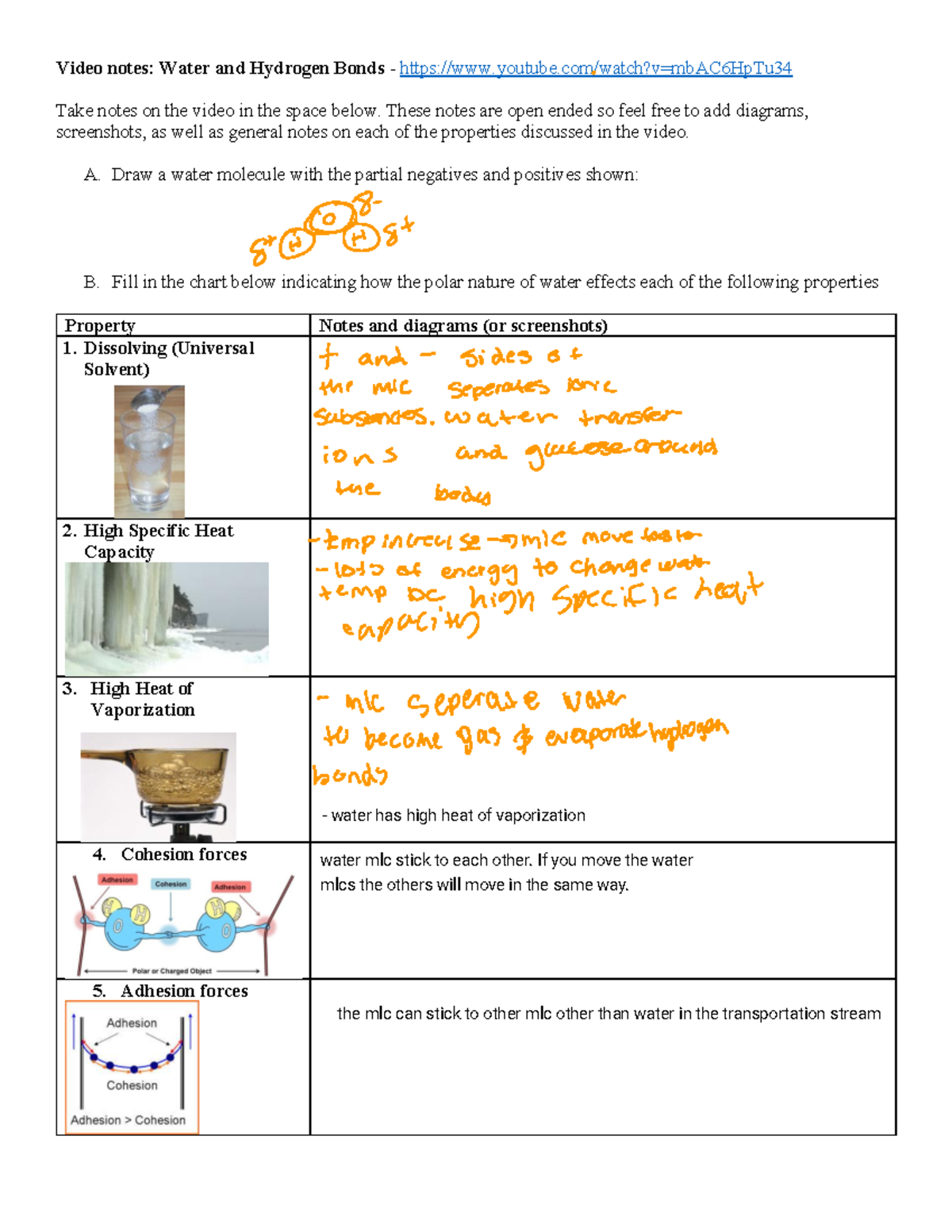 Kami Export - Samantha Leeds - D-Video assignment - Water and Hydrogen Bonding.docx - Video ...