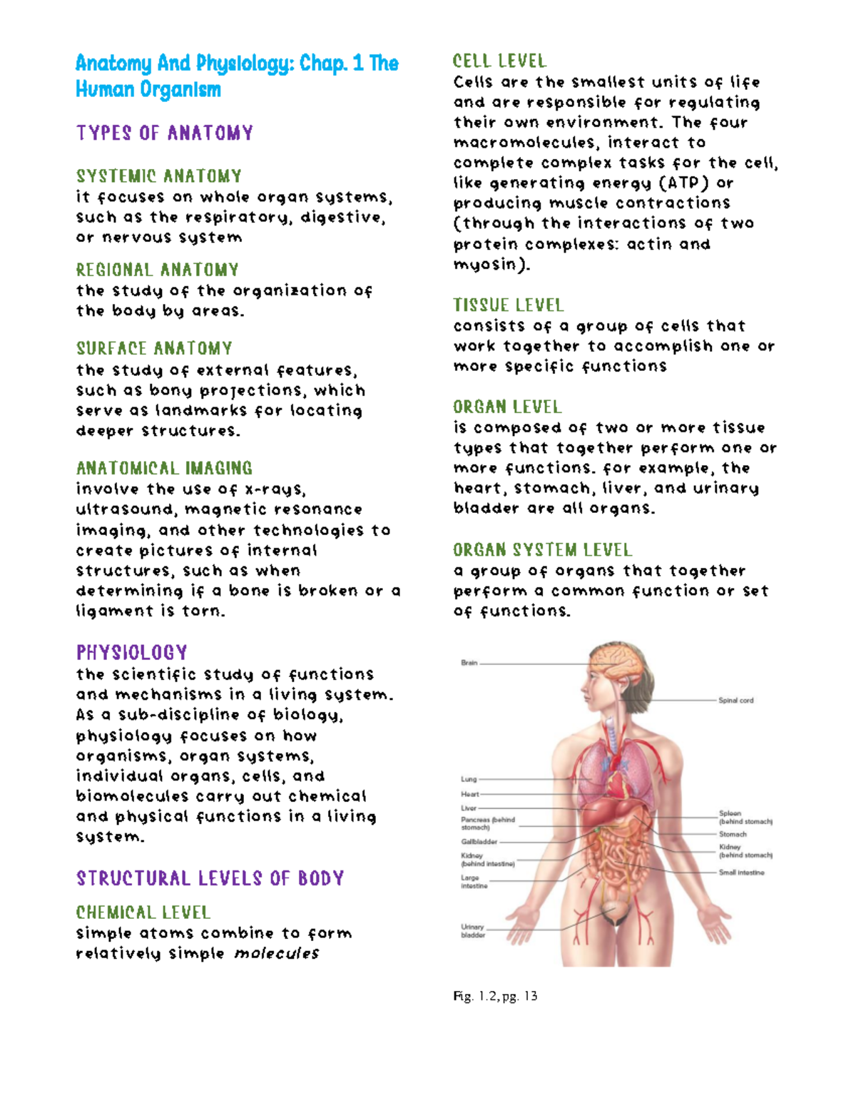 Ana Phy chap 1 quiz reviewer - Anatomy And Physiology: Chap. 1 The ...