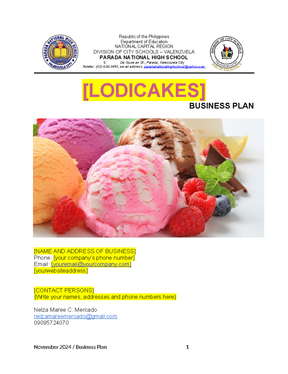 Business Plan Revised Format - Republic of the Philippines Department ...