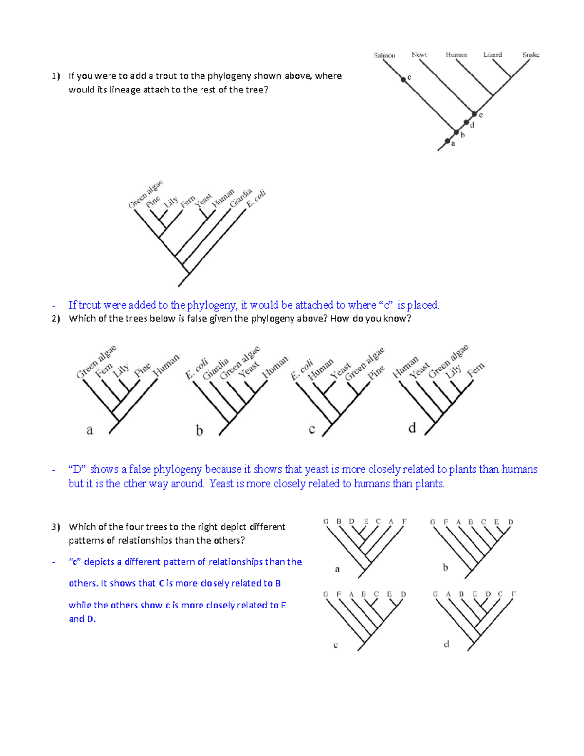 Tree thinking worksheet - 1) If you were to add a trout to the ...