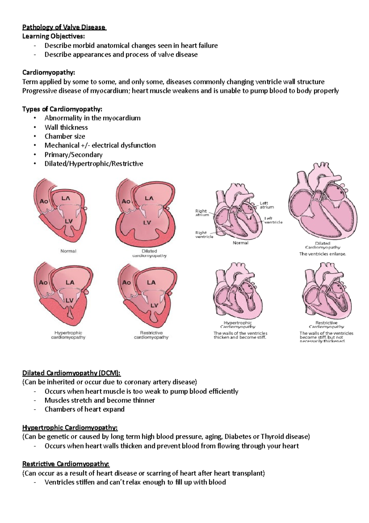 Pathology of Valve Disease - Pathology of Valve Disease Learning ...
