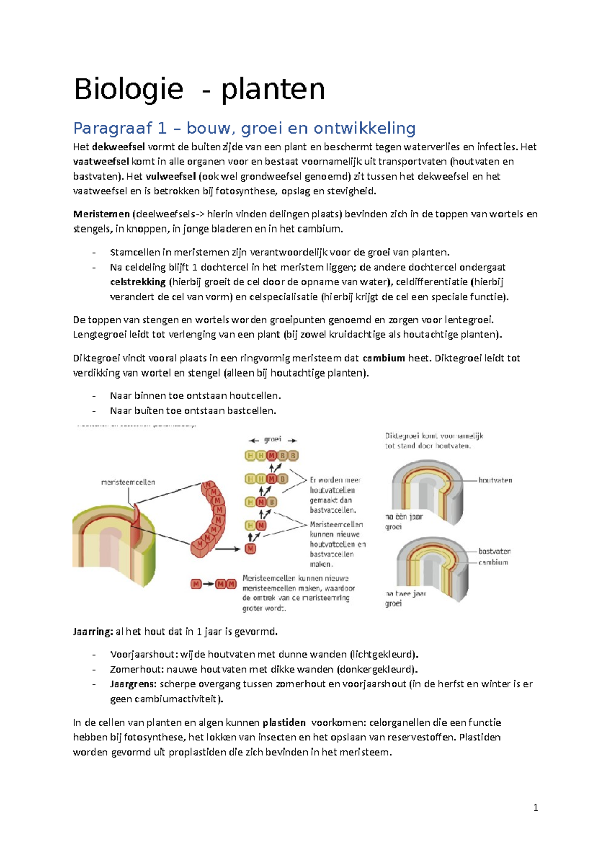 thema 5 - planten - Biologie - planten Paragraaf 1 – bouw, groei en ...