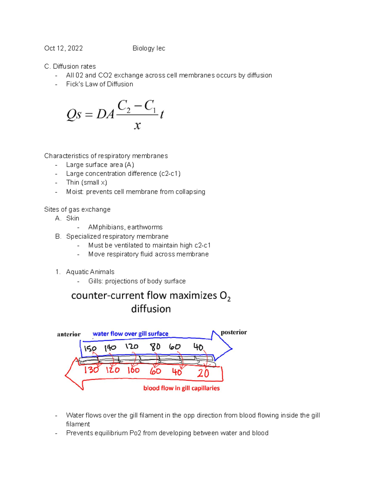 Oct 12, 2022 Biology lec - Oct 12, 2022 Biology lec C. Diffusion rates ...