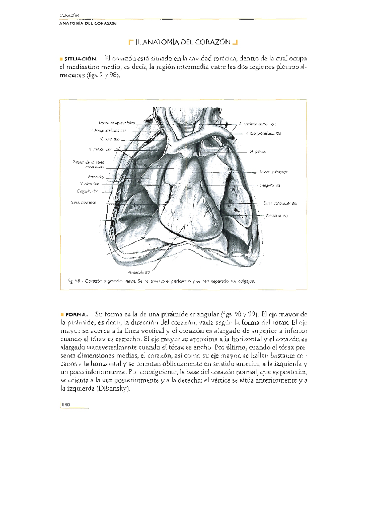 Rouviere- Tomo 2 - Tronco y Esplagnologia-194-310 - CORAZÓN ANATOMIA ...