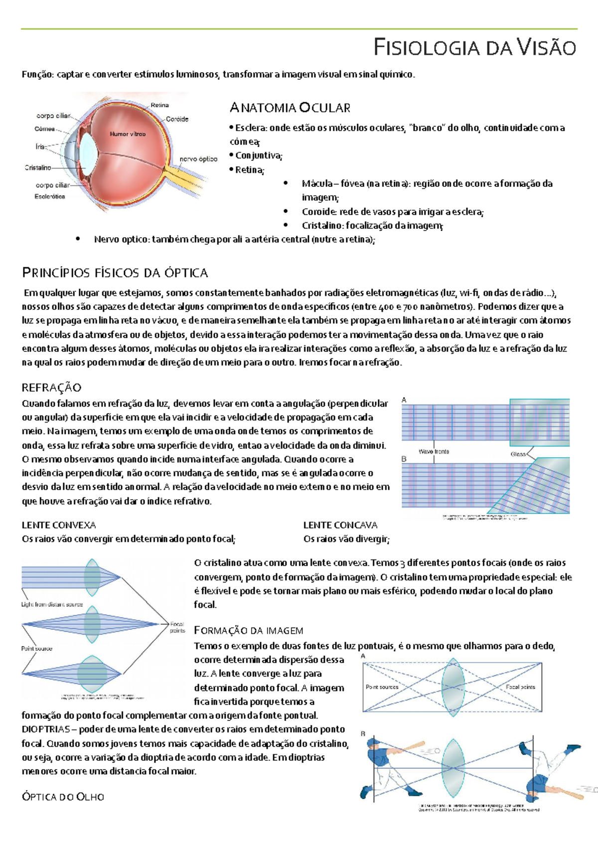 Fisiologia da Visão - FISIOLOGIA DA VISÃO Função: captar e converter ...