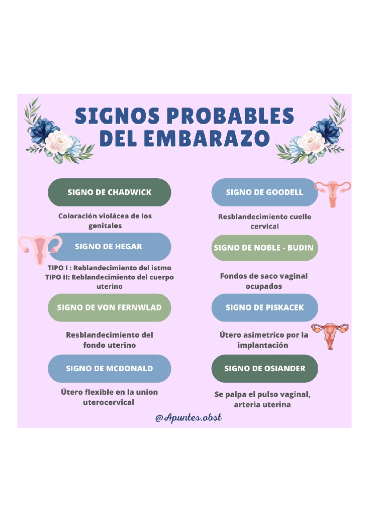 Signos DEL EMBARAZO - Ginecologia y Obstetricia - Studocu