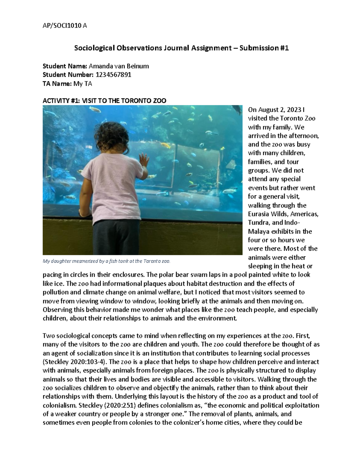 Sociological Observations Journal Assignment - Example - AP/SOCI1010 A ...