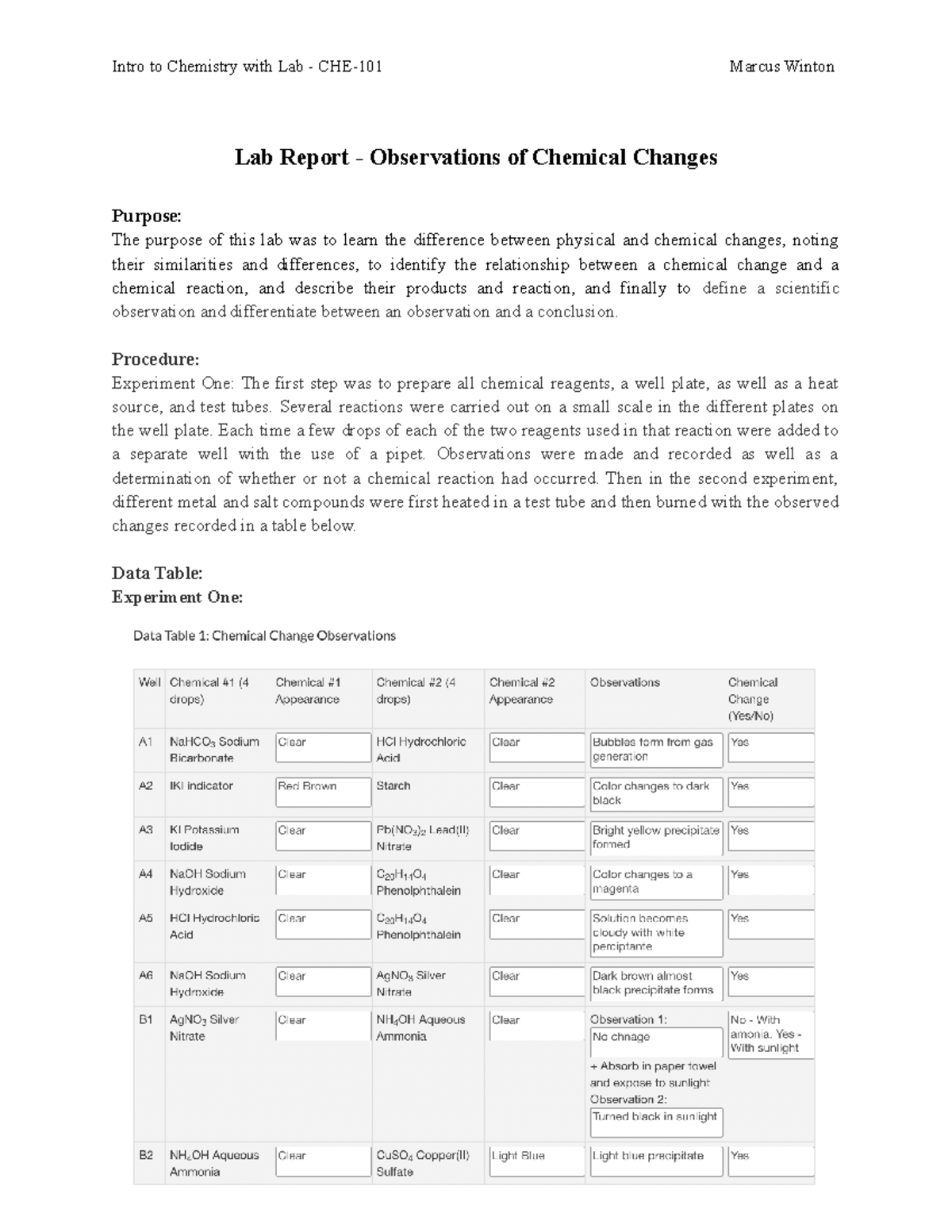 Chem Lab Report 2 - Provides the basic overview of the the 2 lab in ...