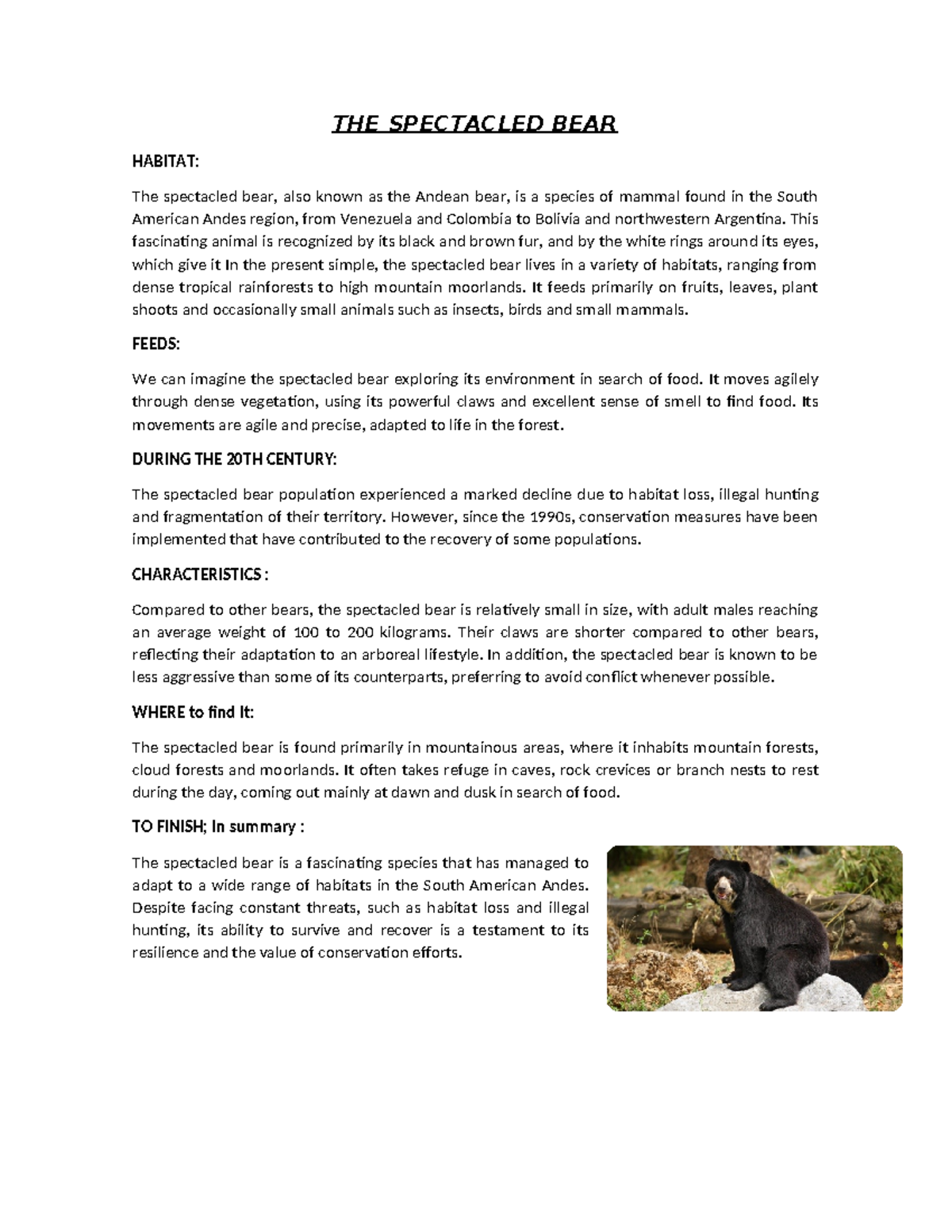 The bear miguel anthony casro leyva pt02 - THE SPECTACLED BEAR HABITAT ...