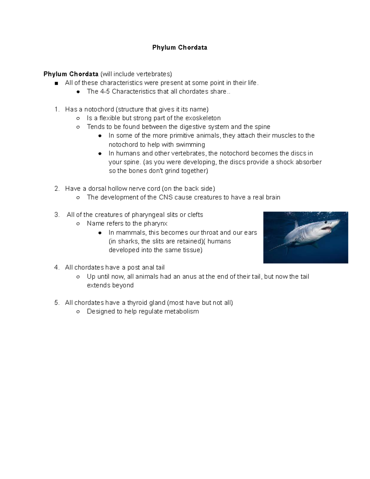 Lecture Notes 4 - Phylum Chordata Phylum Chordata (will include ...