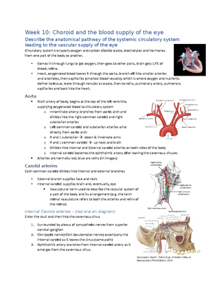 Ocular anatomy lecture 8 - 8 choroid and the blood supply of the eye 8 ...