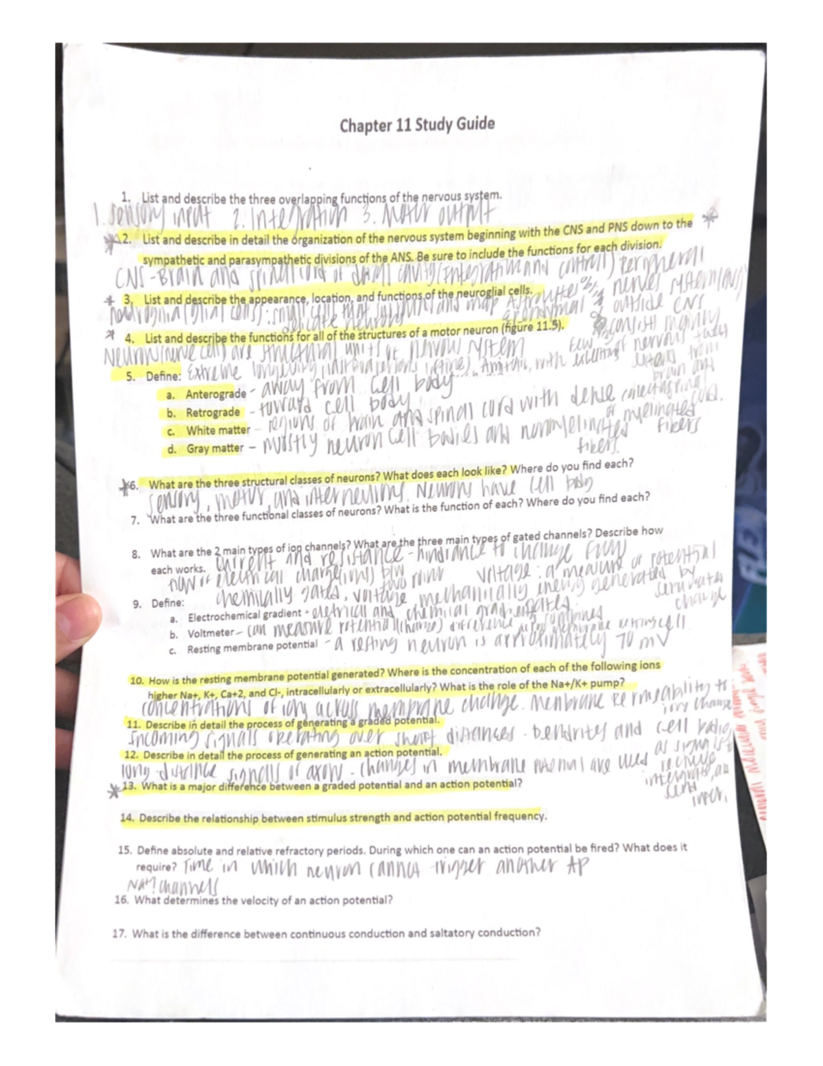 Chapter 11 Study Guide - BIO-210 - Studocu