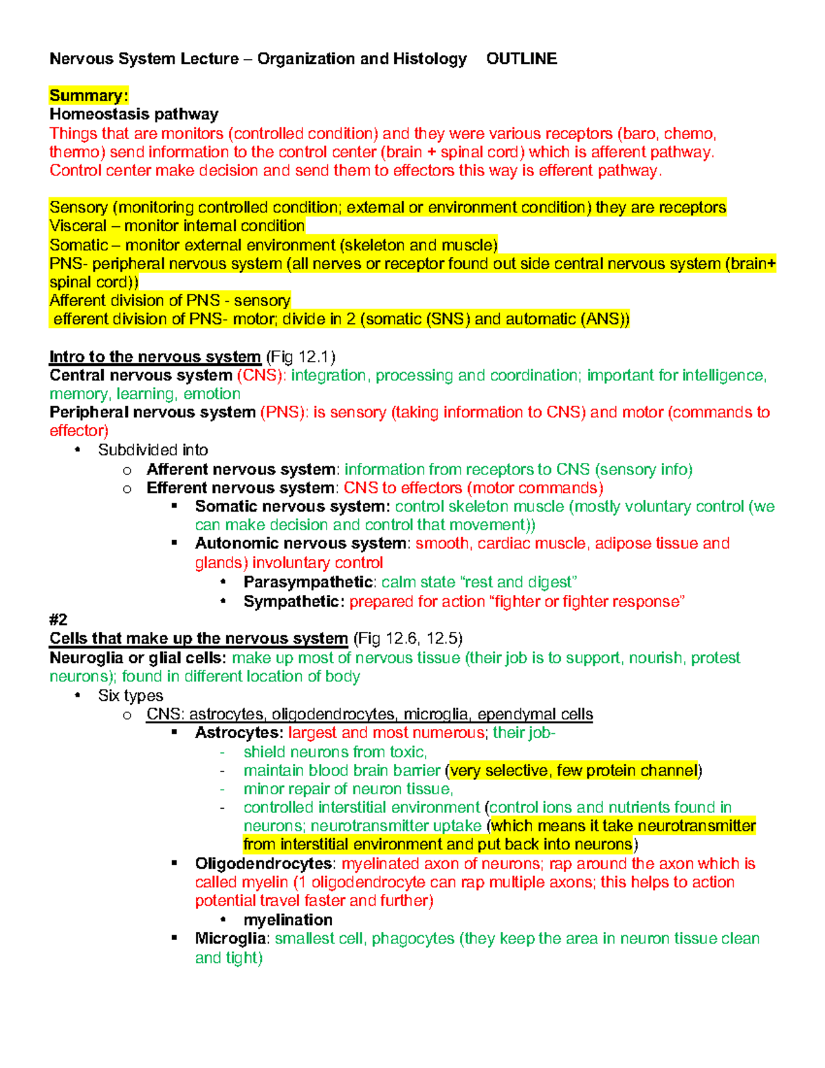 Intro to Nervous System - Nervous System Lecture 3 Organization and ...