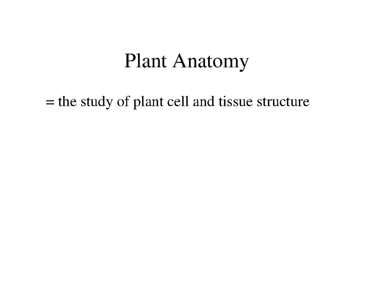 02-Plant Anatomy - Plant Anatomy the study of plant cell and tissue ...