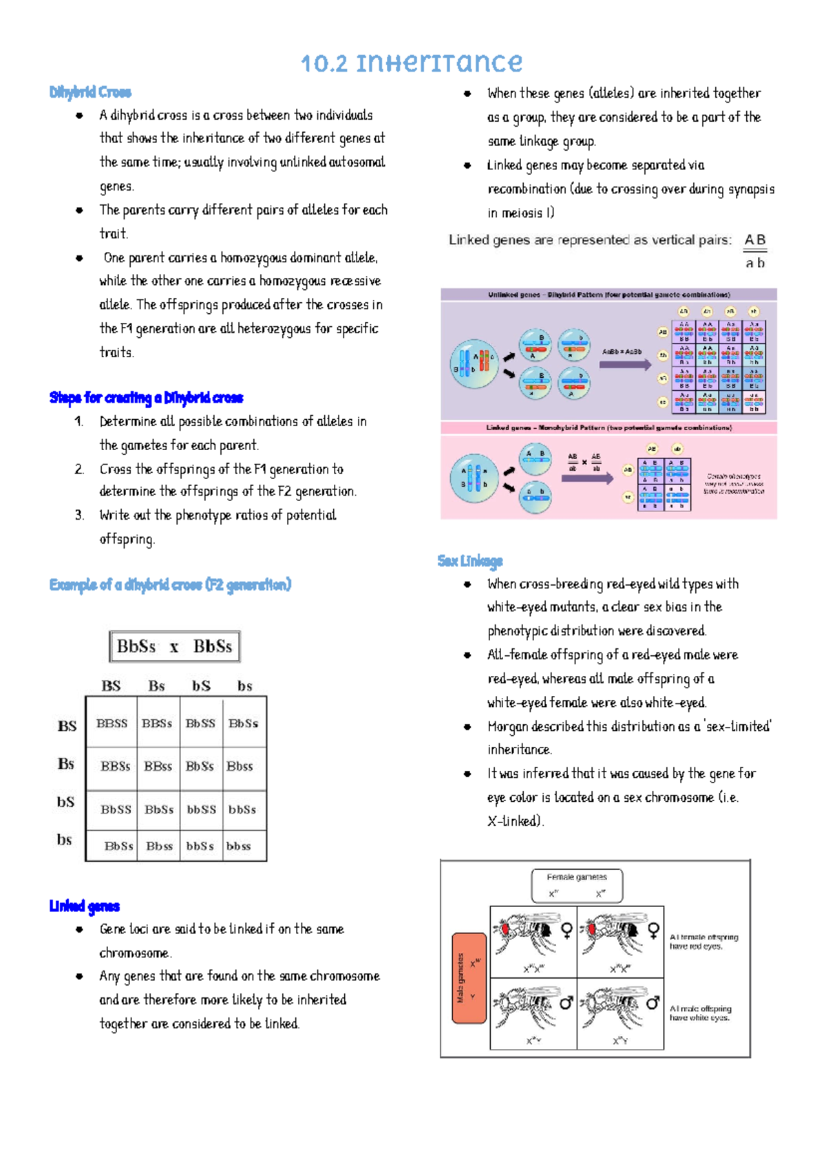 Inheritance Notes - 10 Inheritance Dihybrid Cross A dihybrid cross is a ...