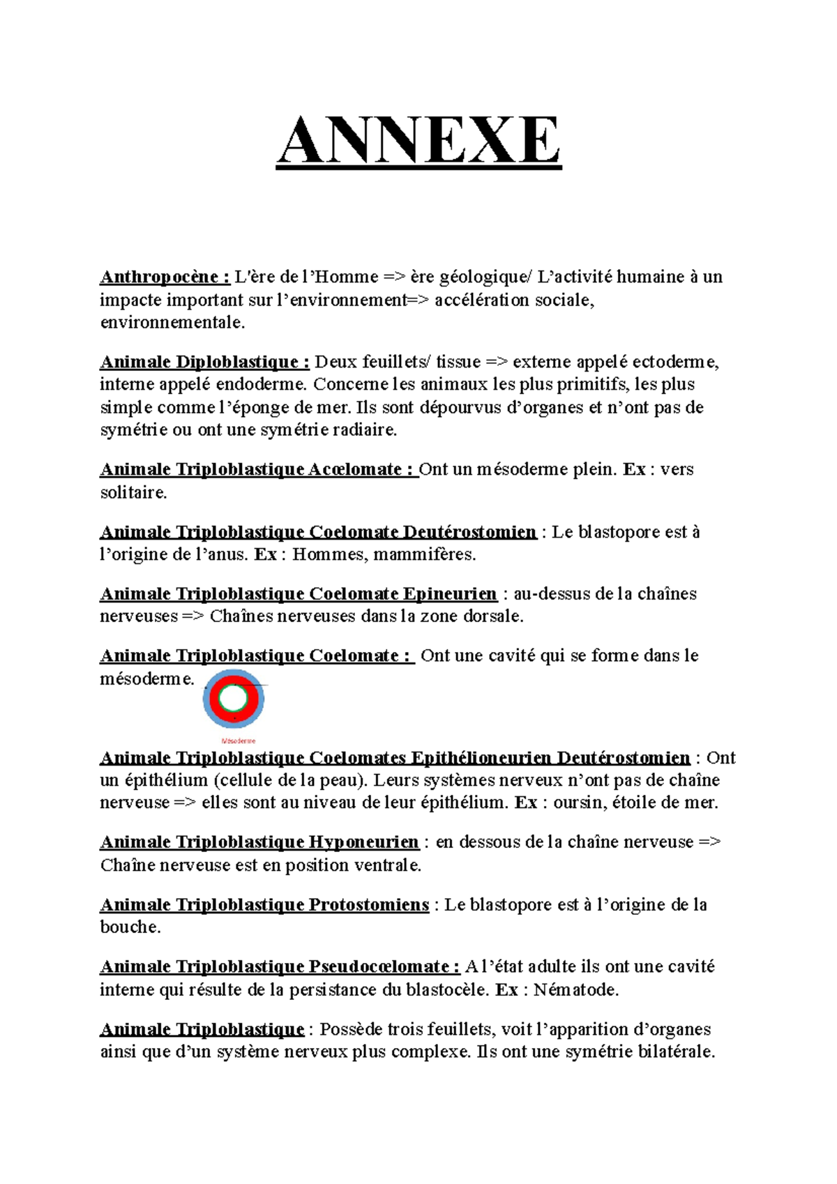 Annexes vocabulaire BOA - ANNEXE Anthropocène : L'ère de l’Homme => ère ...