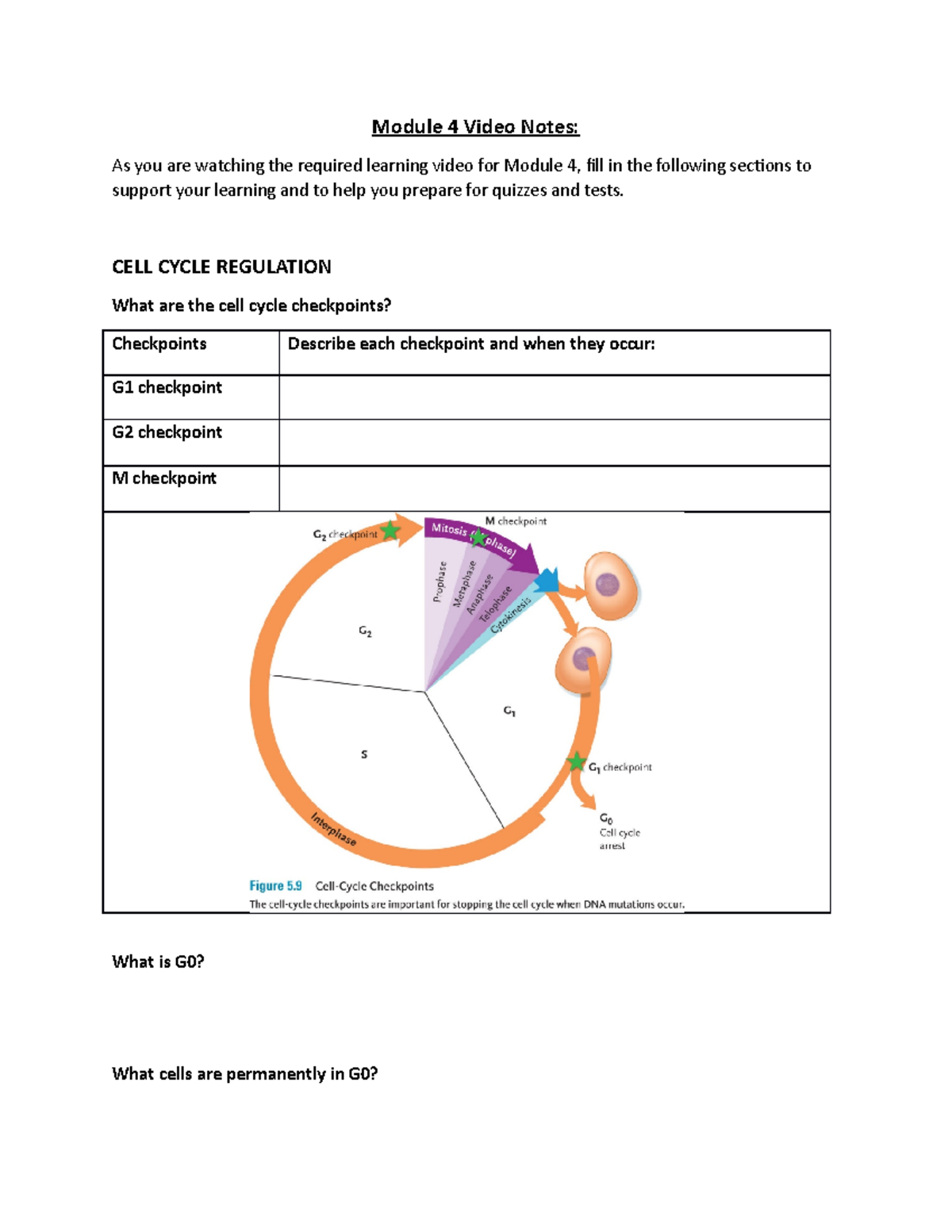 Module 4 Video notes - Module 4 Video Notes: As you are watching the ...
