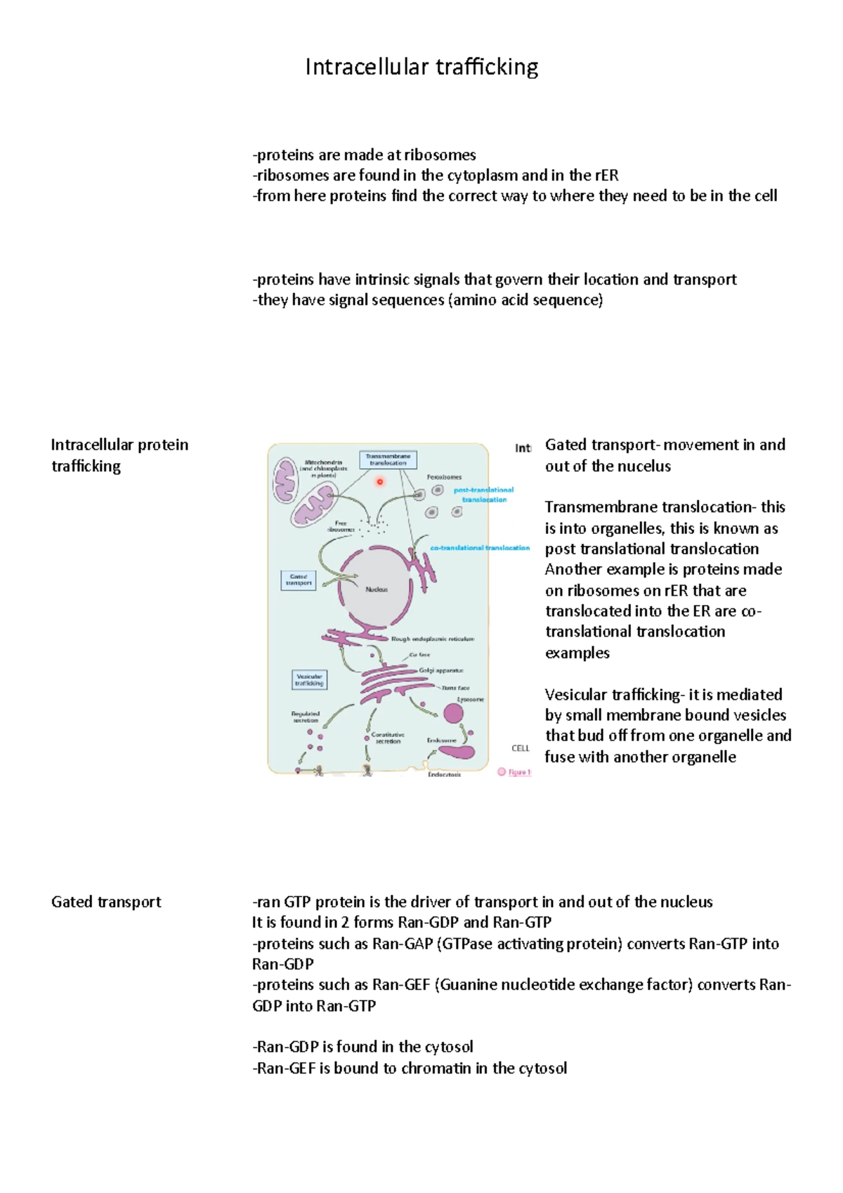 Intracellular trafficking - Intracellular trafficking Intracellular ...