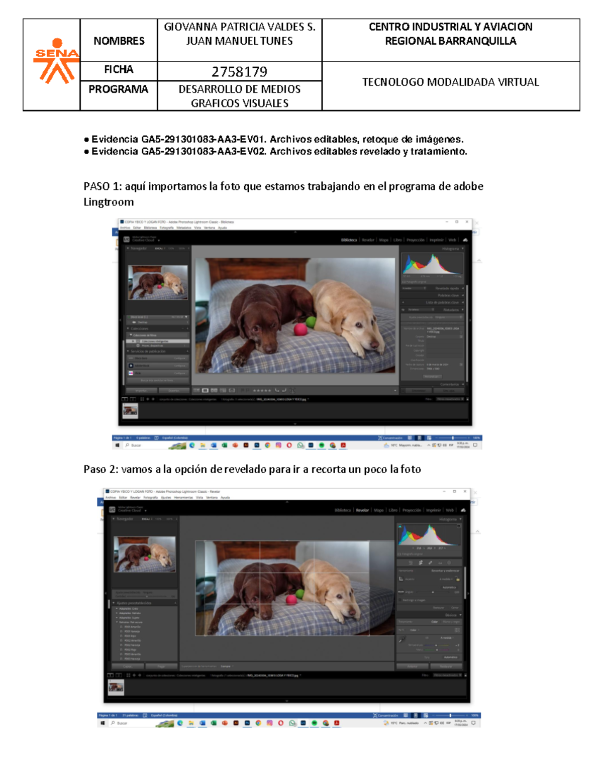 Retoque DE Imagen Y Revelado Evidencia 5 - Evidencia GA5- 291301083 ...