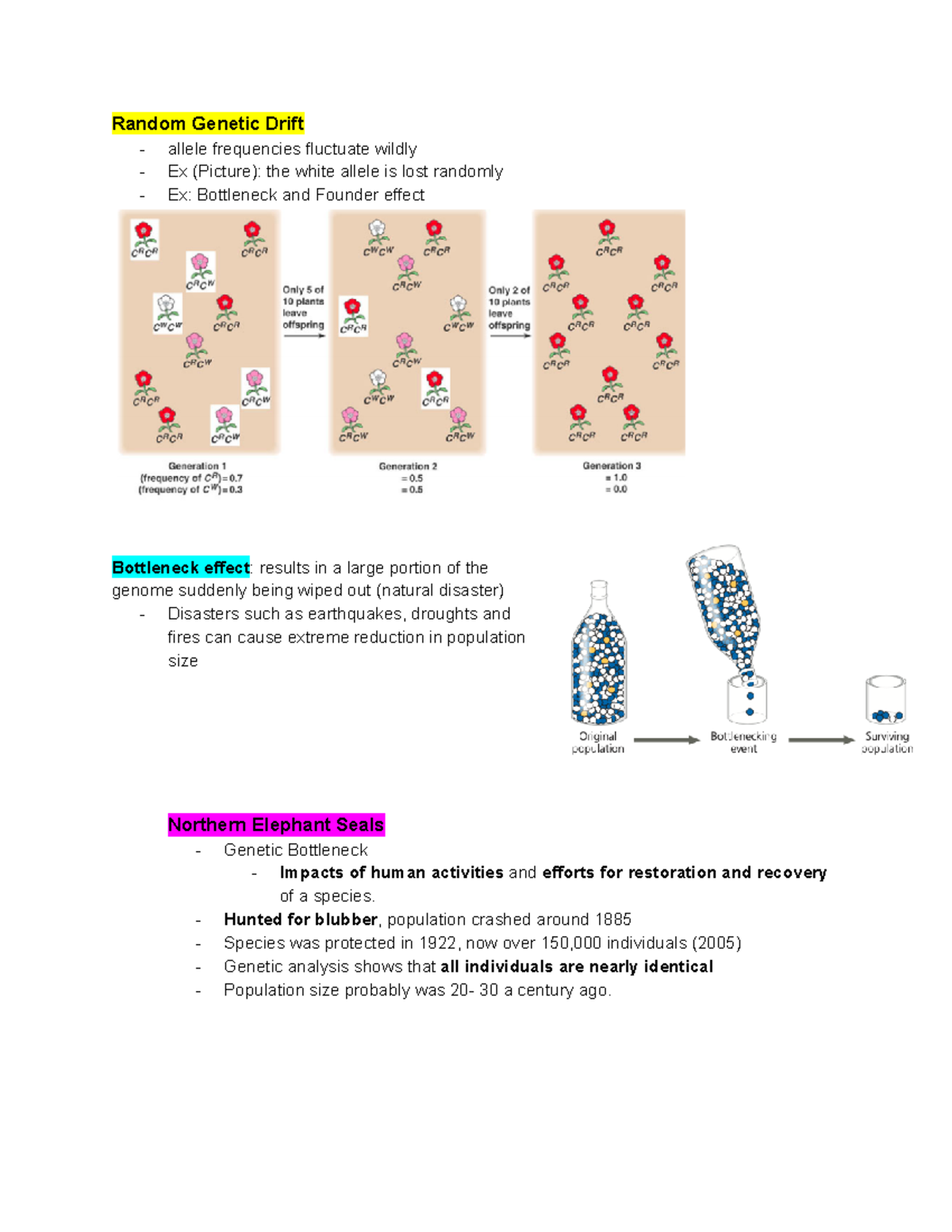 M2 Lec 20 (Genetic Drift) - Random Genetic Drift allele frequencies ...
