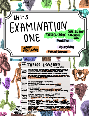 Anatomy and Physiology Notes - Anatomy and Physiology Chapter 1 - The ...