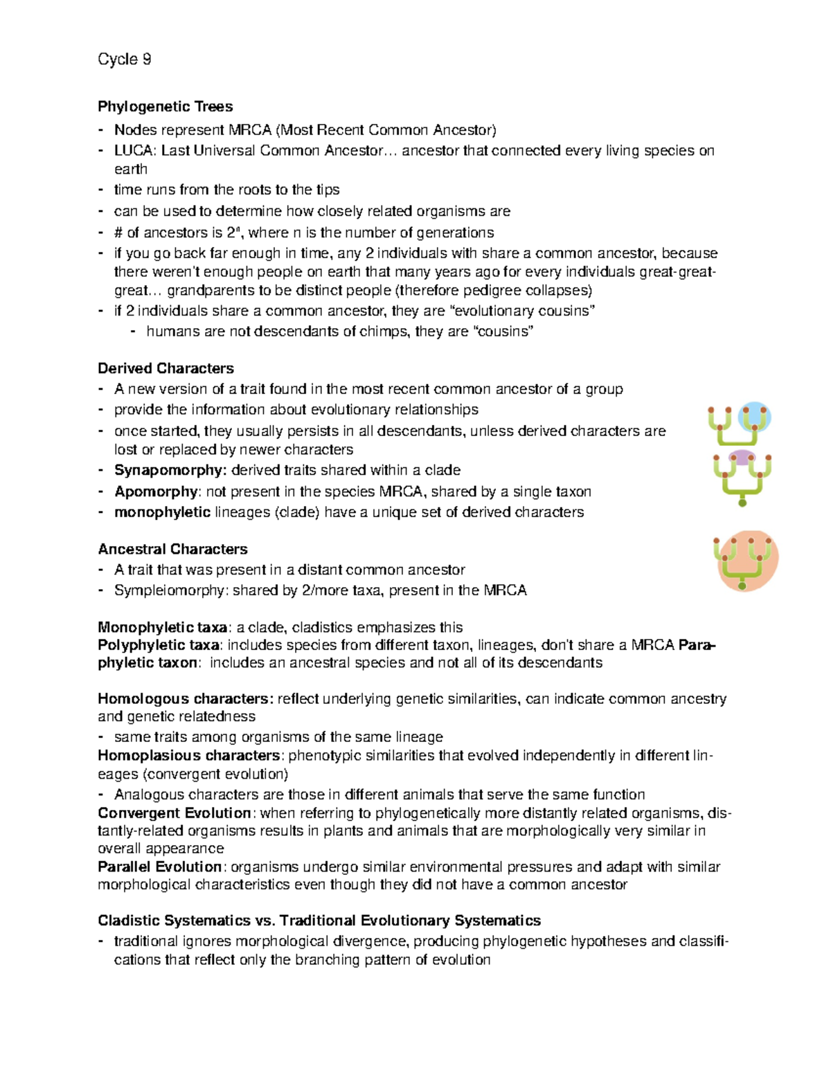 Cycle 9 - lecture 9 - Cycle 9 Phylogenetic Trees - Nodes represent MRCA ...