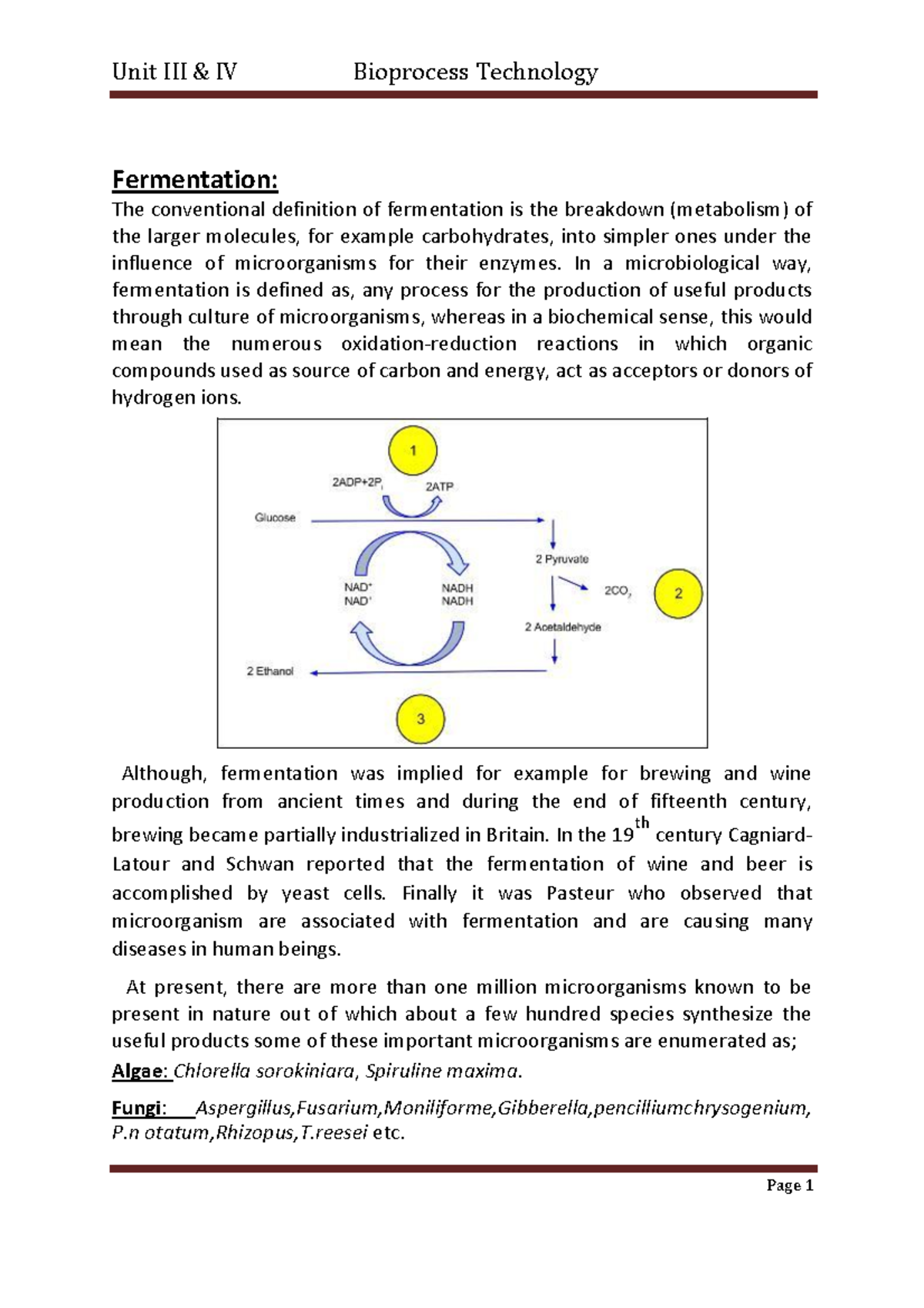 Bioprocess Technology part 1 - Fermentation: The conventional ...