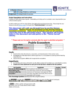 Pretentious Words - Pretentious Words Some people feel that they can ...