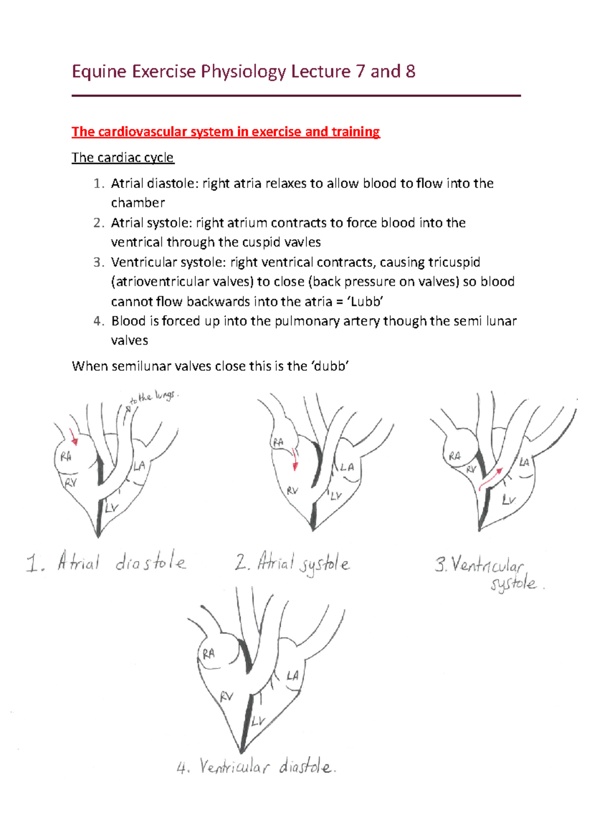 Equine Exercise Physiology Lecture 7 and 8 - Oxygen carriage Stroke ...
