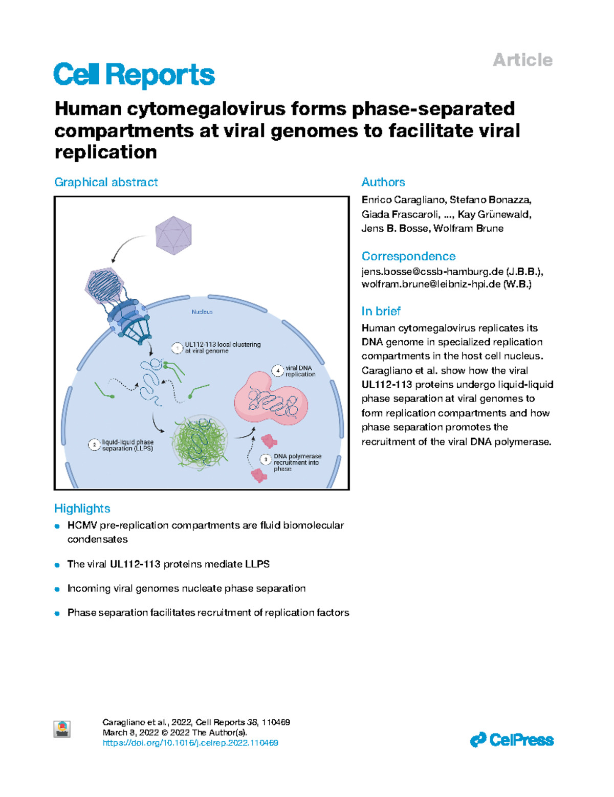 3-CMV replication compartments - Article Human cytomegalovirus forms ...