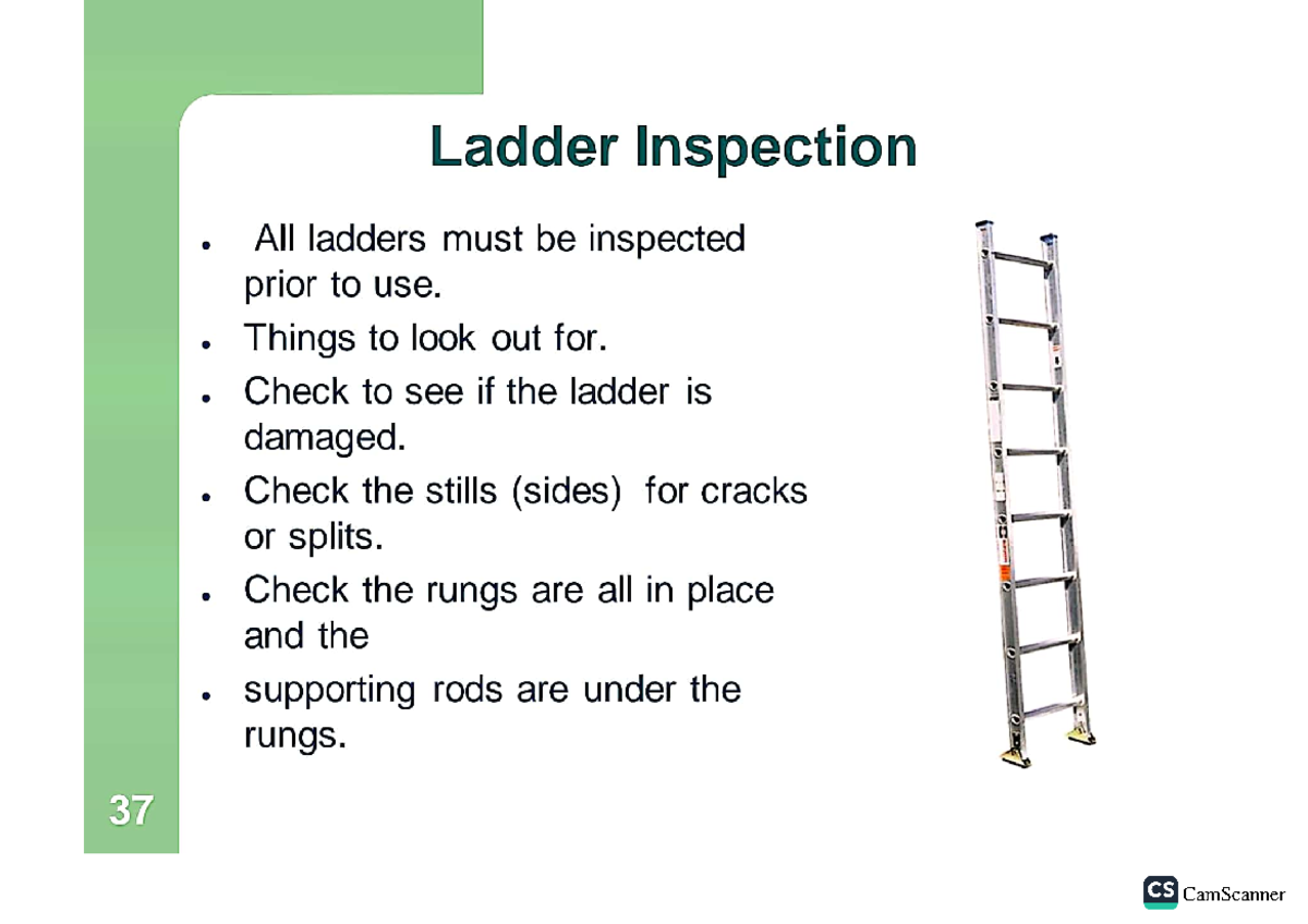 P 5 - Ladder Inspection Access System Scaffolds System Scaffolds System ...