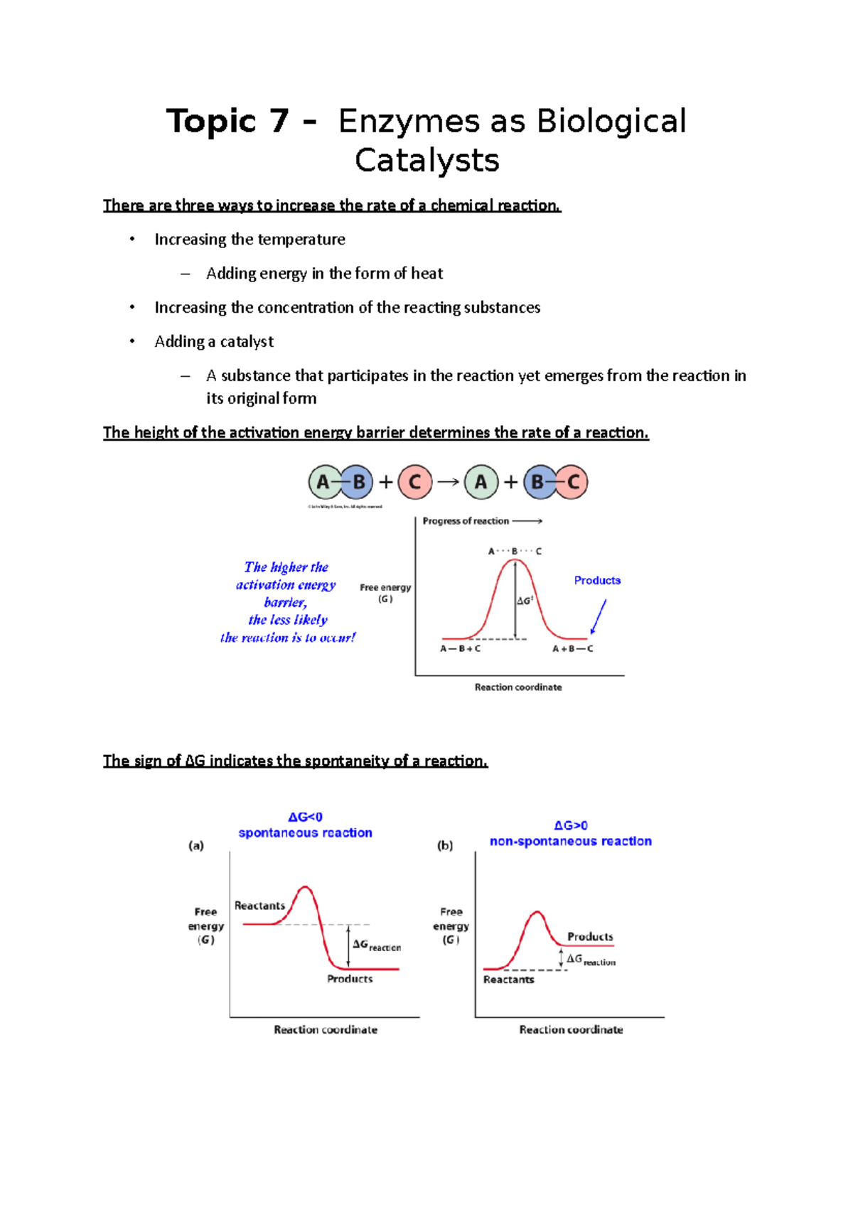 Topic 7 - biological catalysts - Topic 7 – Enzymes as Biological ...