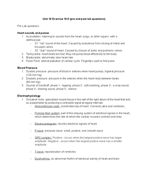 WGU Educational Psychology: Video Observation task 1 - Alyssa Stone ...