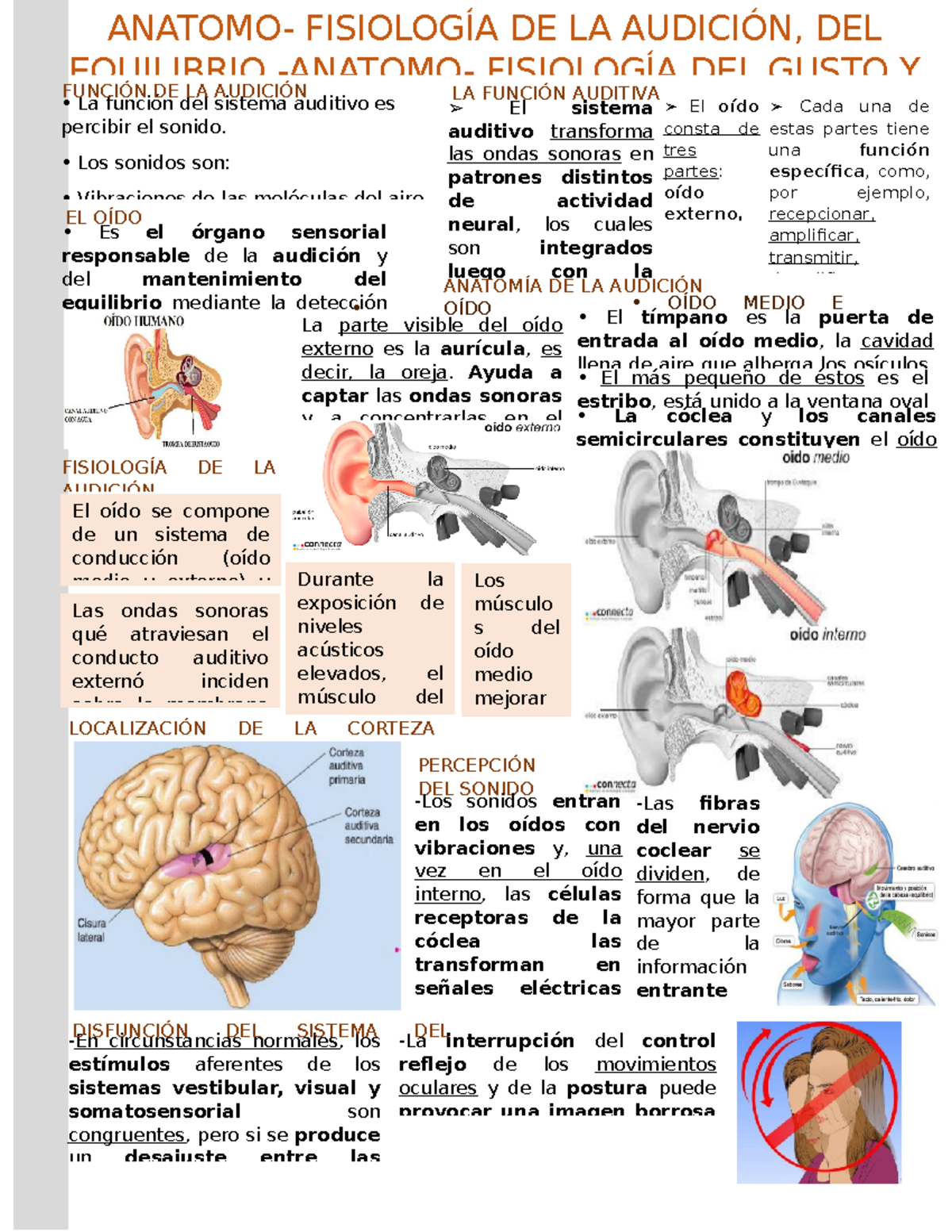 Semana 6 - Anatomo- Fisiología DE LA Audición, DEL Equilibrio - Anatomo ...