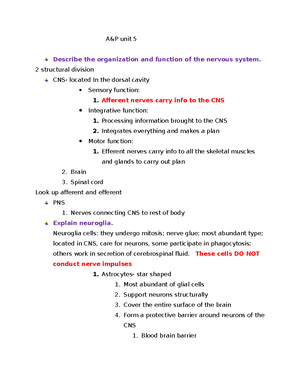 Anatomy & Physiology Unit 1 - Anatomy - study of construction of human ...